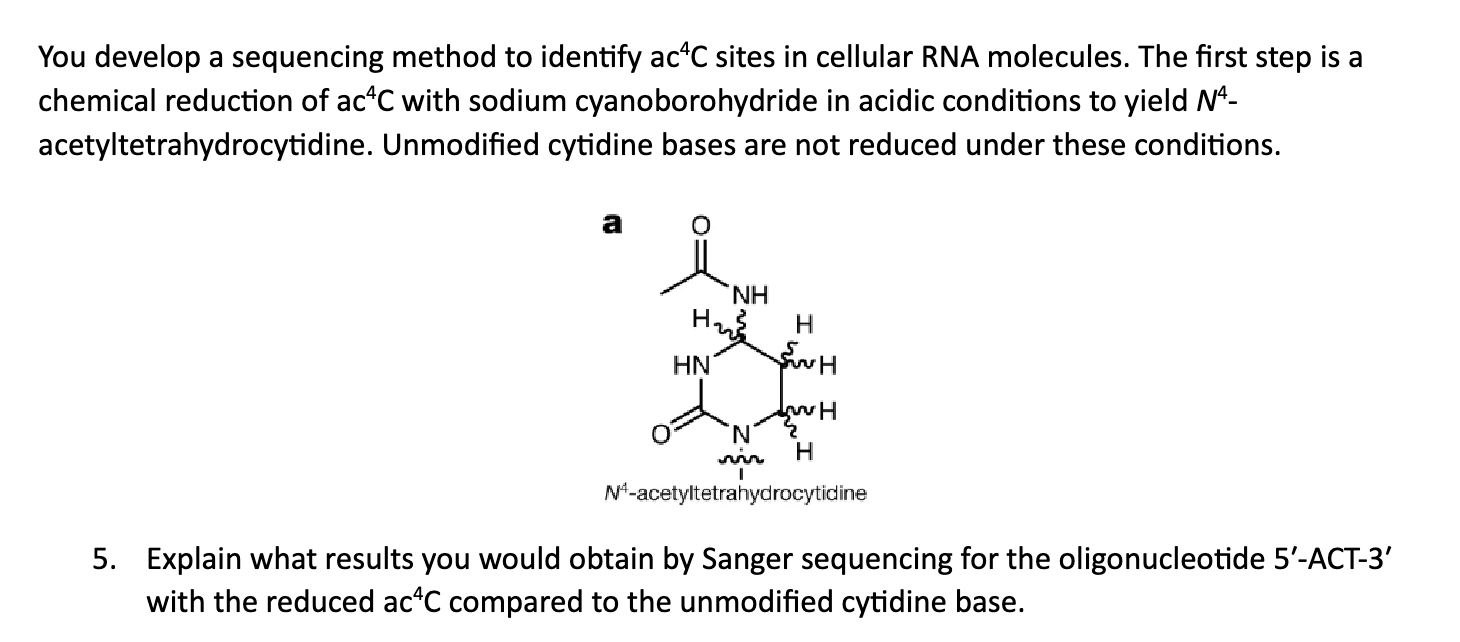 You develop a sequencing method to identify ac4C | Chegg.com