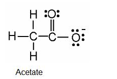 Solved Acetate | Chegg.com