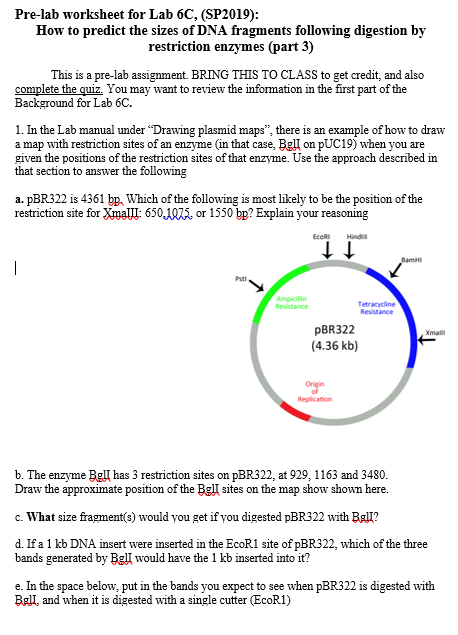 Solved Pre-lab worksheet for Lab 6C, (SP2019): How to | Chegg.com