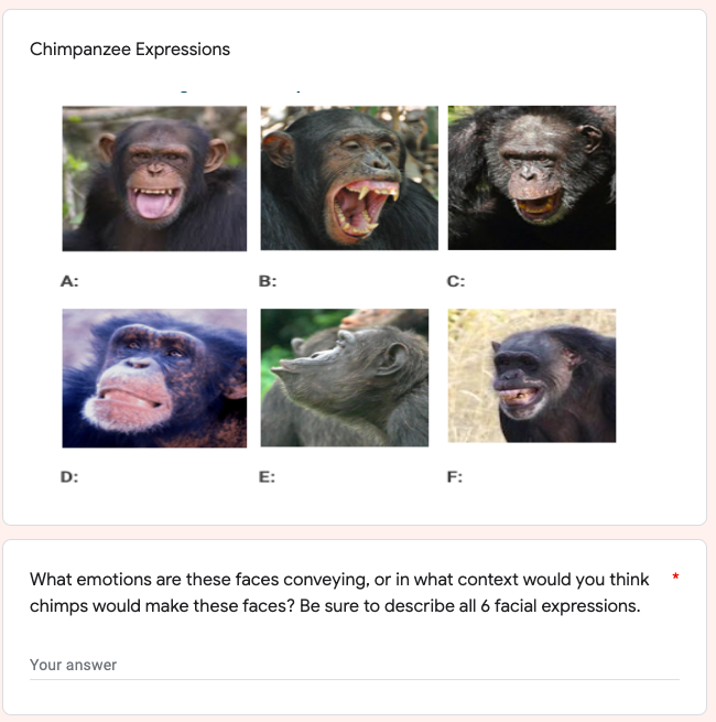 Chimpanzee Expressions A: B: C: D: E: F: F: * What | Chegg.com