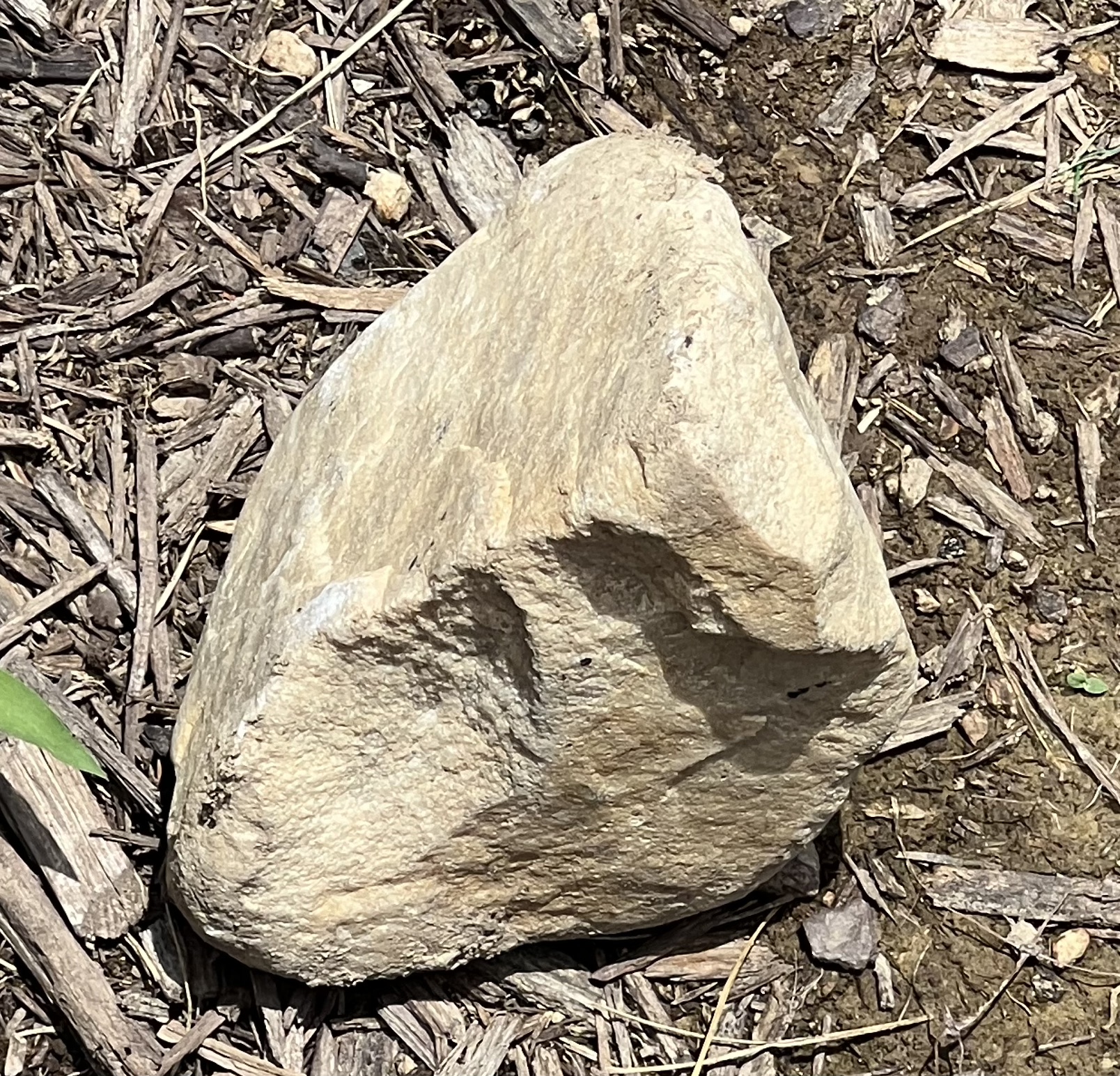 Solved What type of rock is this? (igneous, metamorphic, or | Chegg.com