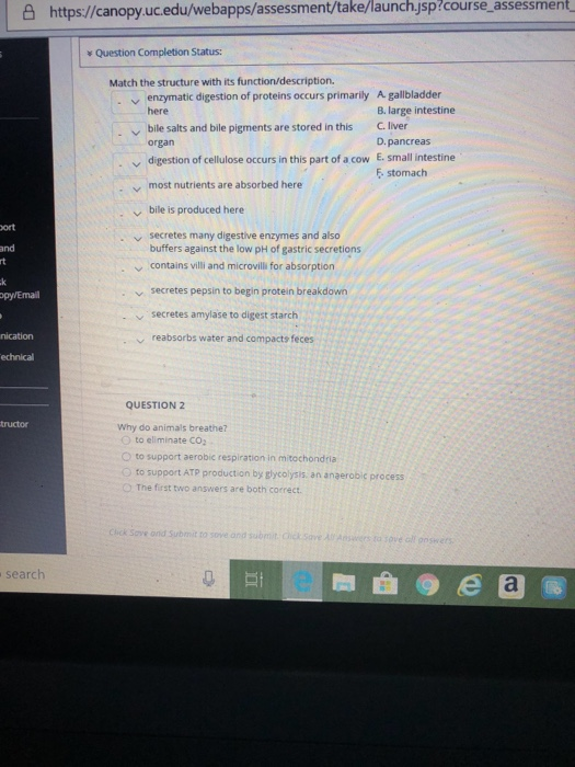 Solved https/canopy.uc.edu/webapps/assessment/take/launchjsp | Chegg.com