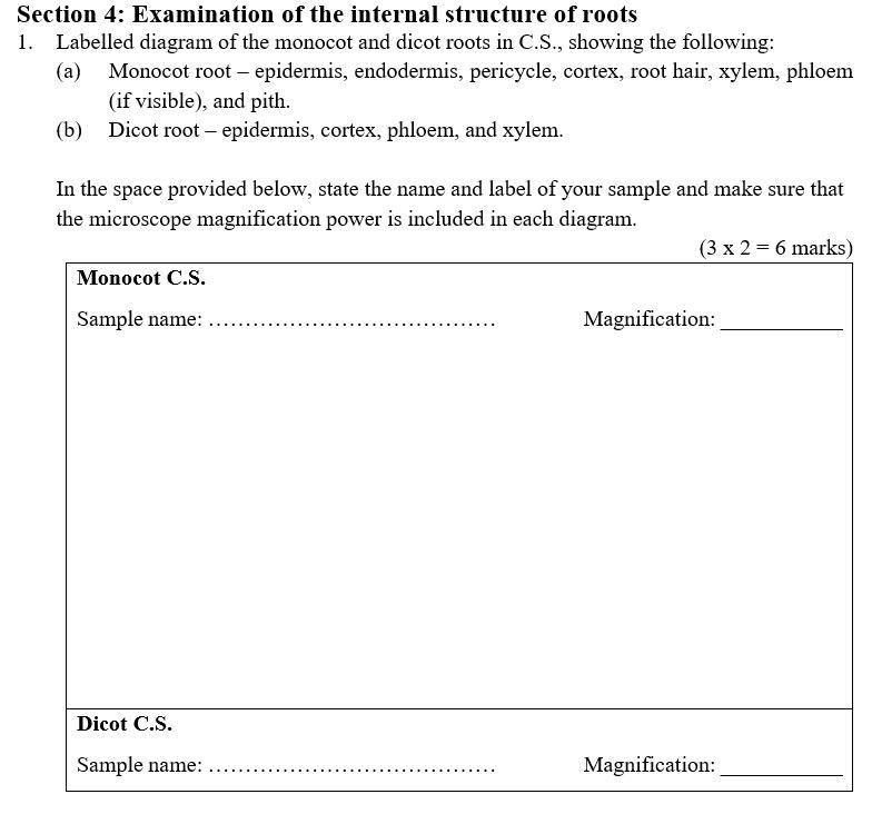 Solved Section 3: Examination of sections of old tree trunks | Chegg.com
