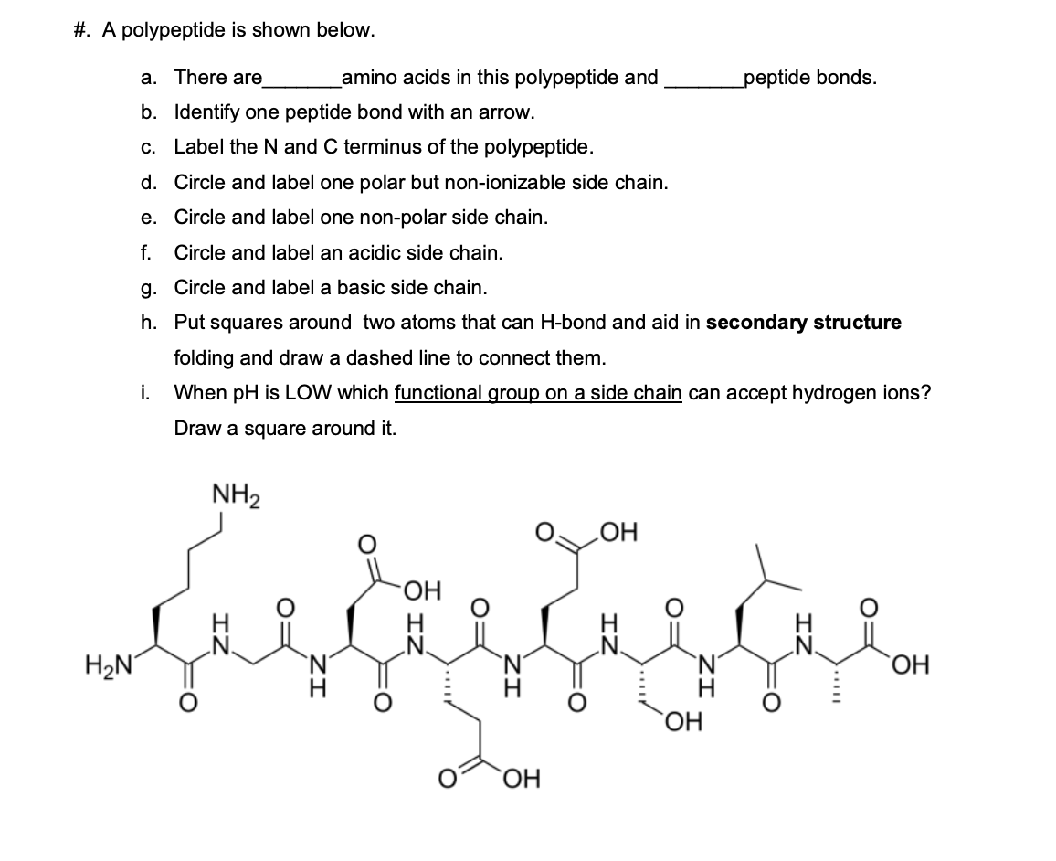 Solved #. A polypeptide is shown below. a. There are amino | Chegg.com