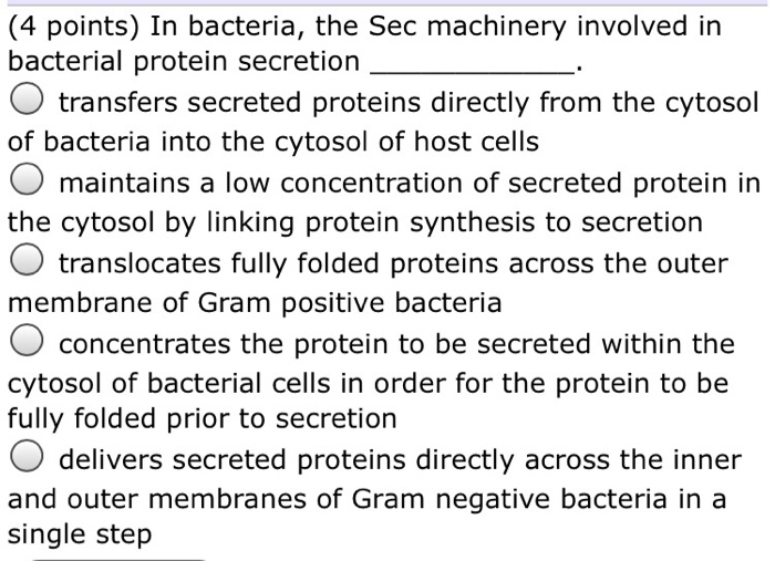 Solved (4 points) In bacteria, the Sec machinery involved in | Chegg.com