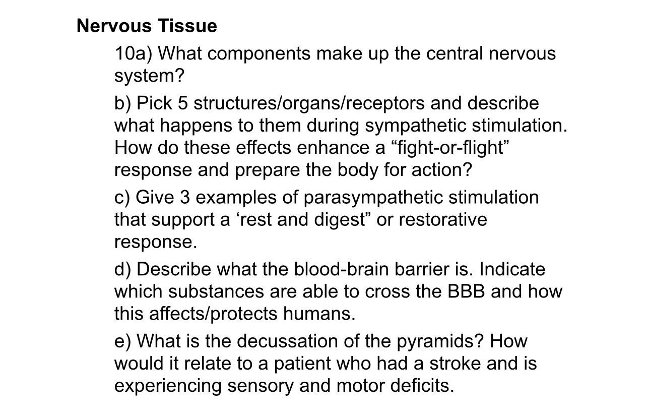 Solved 10a) What components make up the central nervous | Chegg.com