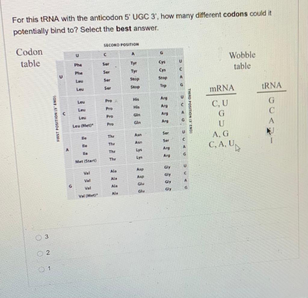 Solved For this tRNA with the anticodon 5' UGC 3', how many | Chegg.com