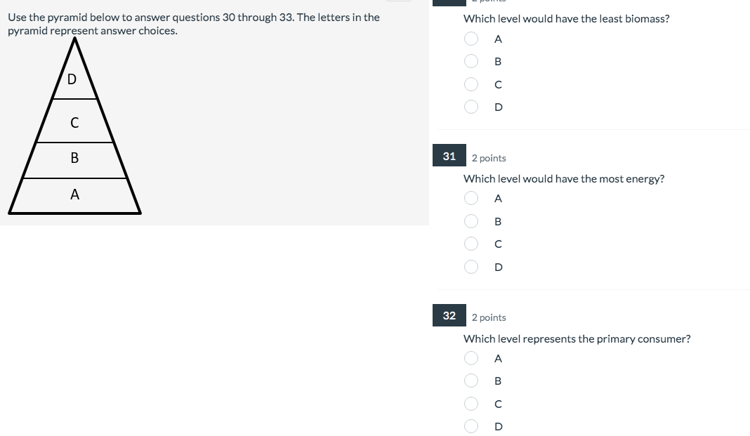 Solved Use the pyramid below to answer questions 30 through | Chegg.com