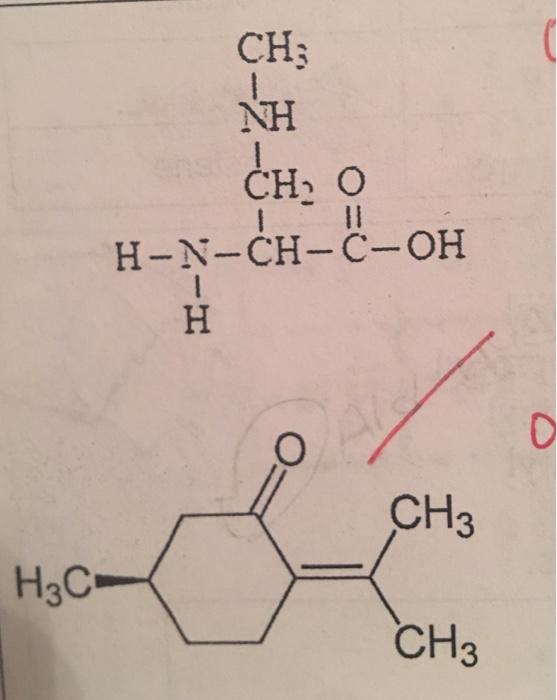 Solved CH3 NH CH O H-N-CH-C-OH CH3 CH3 | Chegg.com