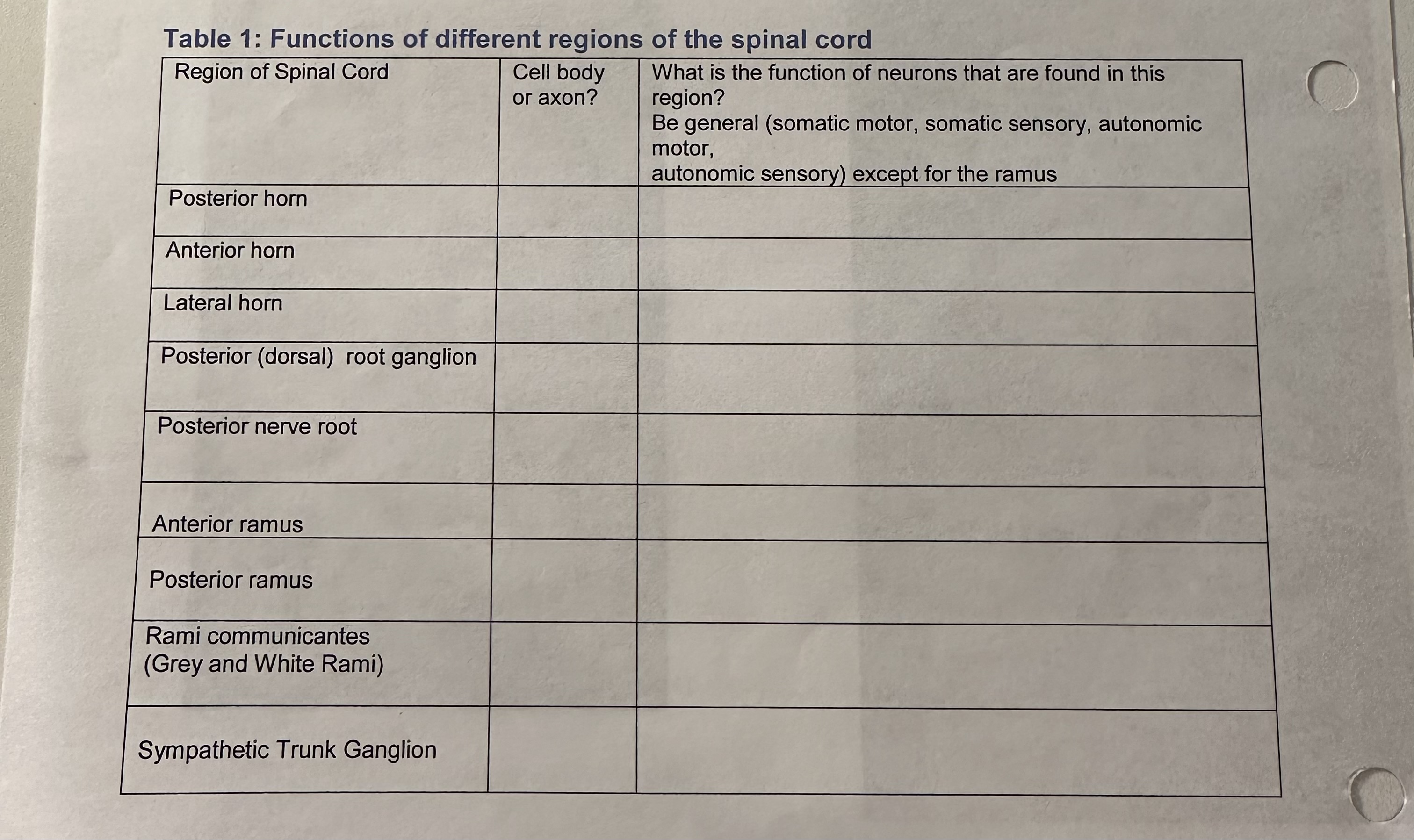 Solved Table 1: Functions of different regions of the spinal | Chegg.com