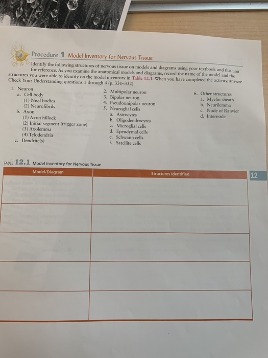 Solved Procedure 1 Model Inventory for Nervous Tissue | Chegg.com