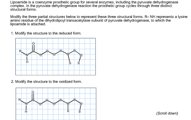Solved Lipoamide is a coenzyme prosthetic group for several | Chegg.com