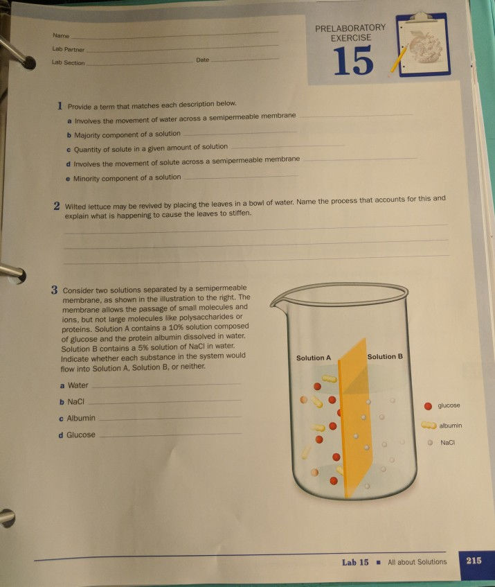 Solved PRELABORATORY EXERCISE Name Lab Partner Lab Section | Chegg.com