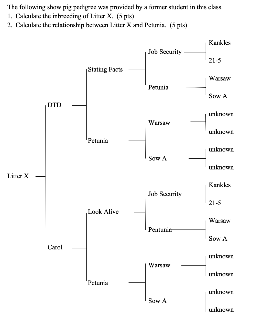 The following show pig pedigree was provided by a | Chegg.com