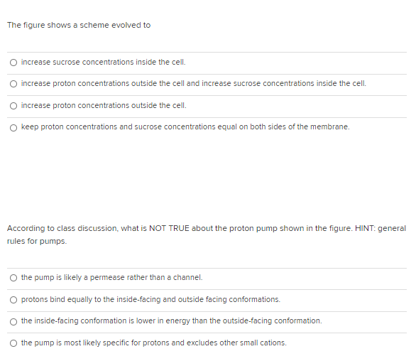 Solved Outside cell H Proton pump (H-ATPase) H+ Sucrose | Chegg.com