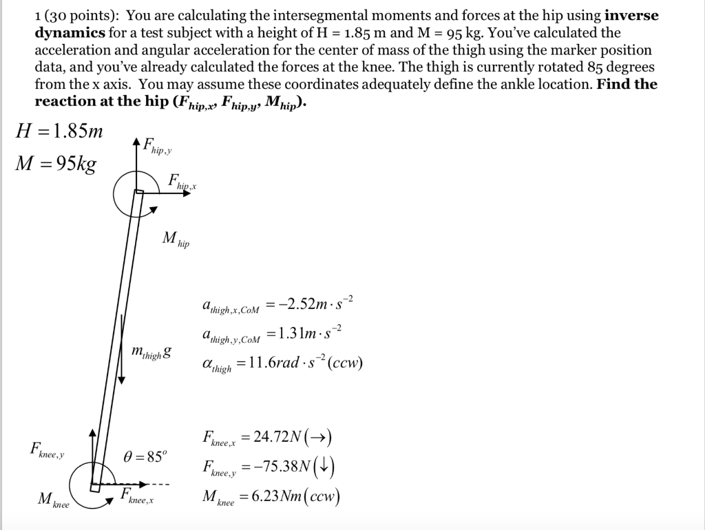 Solved You are calculating the intersegmental moments and | Chegg.com