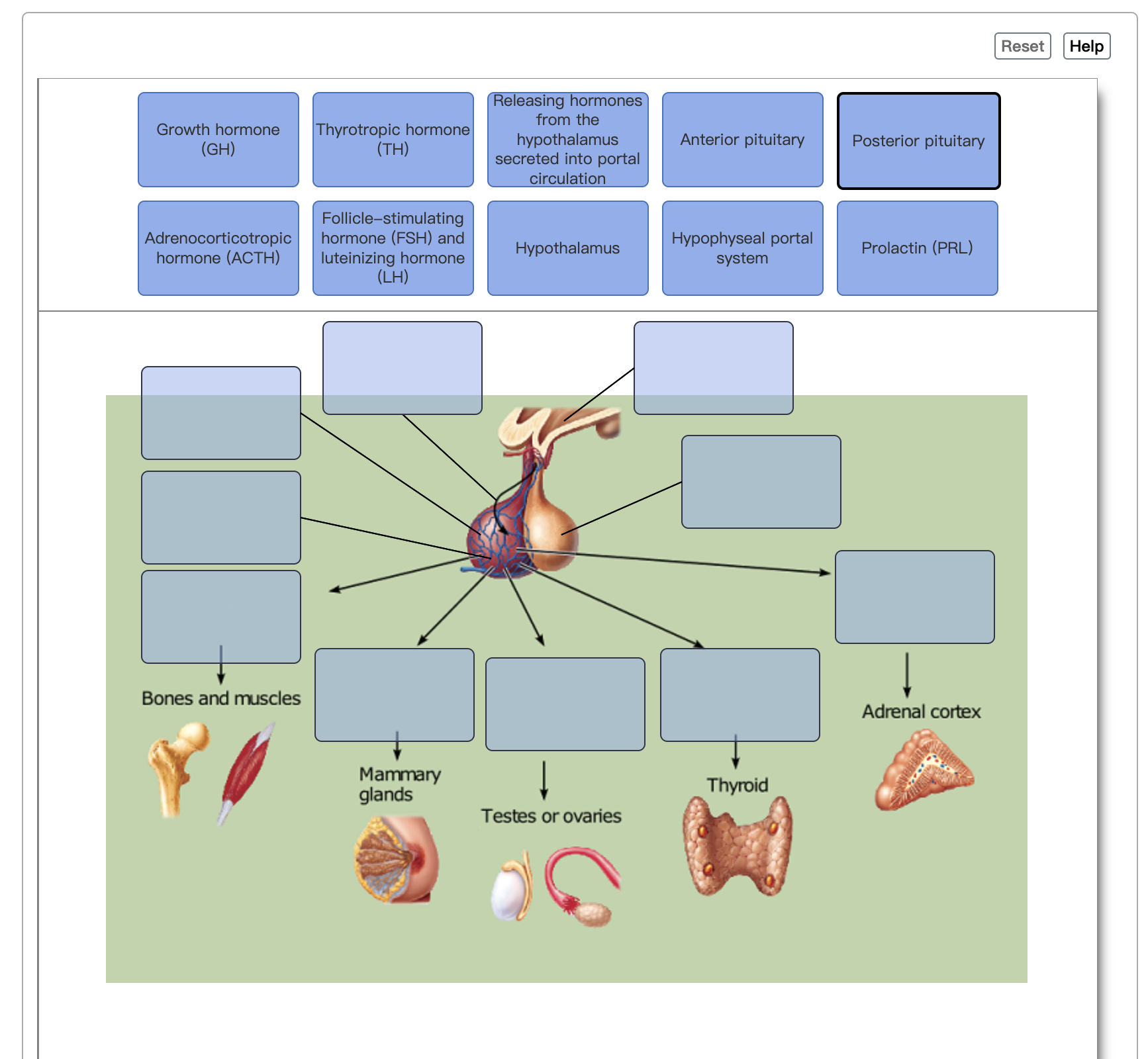 Solved Reset Help | Chegg.com