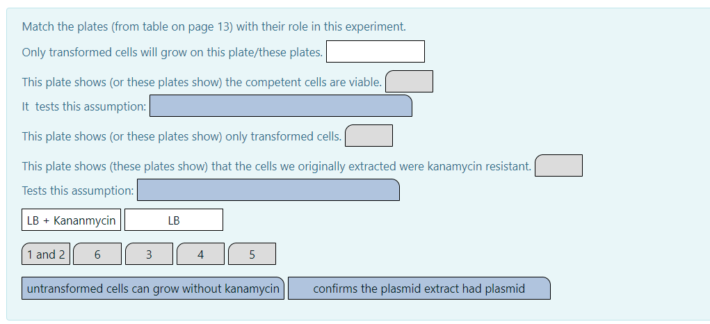 Solved Plate number Medium Volume plated Tube contents | Chegg.com