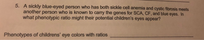 Solved 5. A sickly blue-eyed person who has both sickle cell | Chegg.com