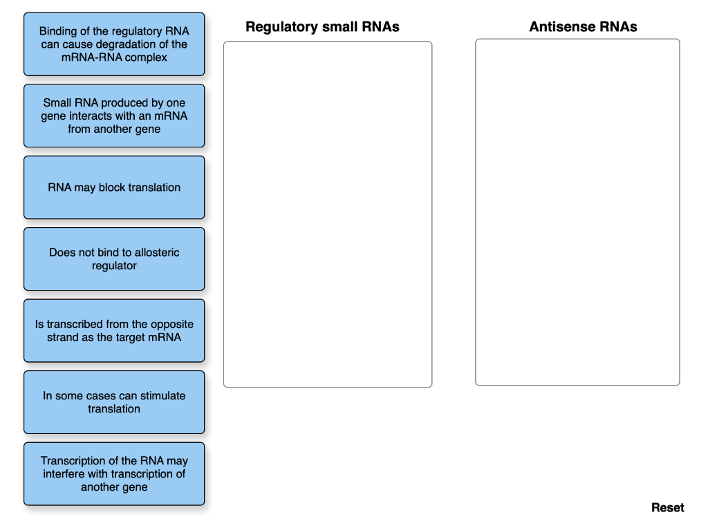 Solved Regulatory small RNAs Antisense RNAs Binding of the | Chegg.com
