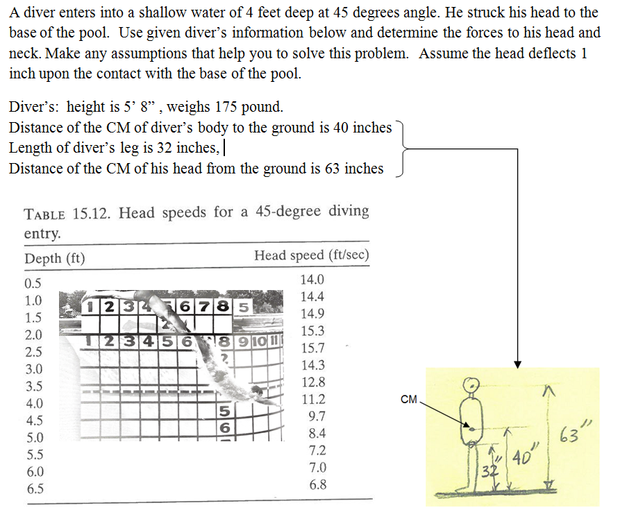 A diver enters into a shallow water of 4 feet deep at | Chegg.com