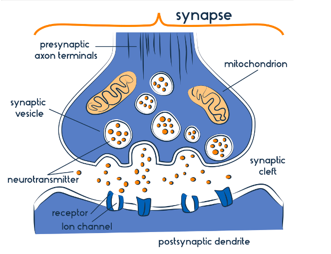Solved 1. Purpose of This Assessment The purpose of this | Chegg.com