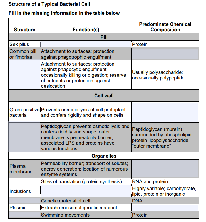 Solved Structure of a Typical Bacterial Cell Fill in the | Chegg.com