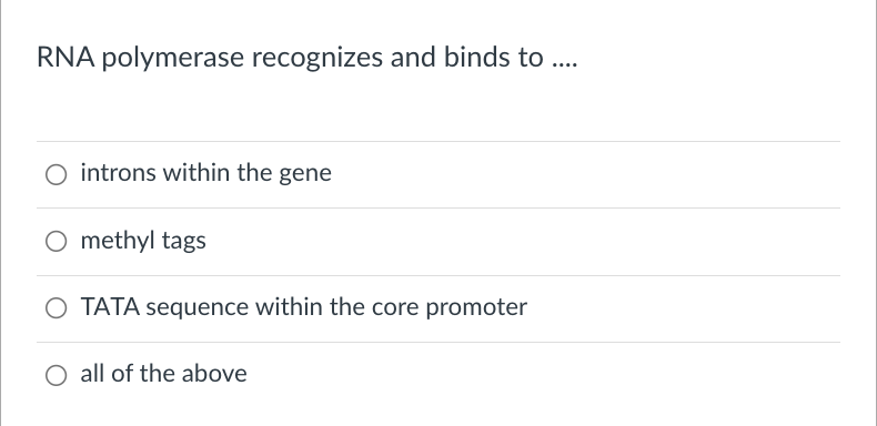 Solved RNA polymerase recognizes and binds to .... introns | Chegg.com