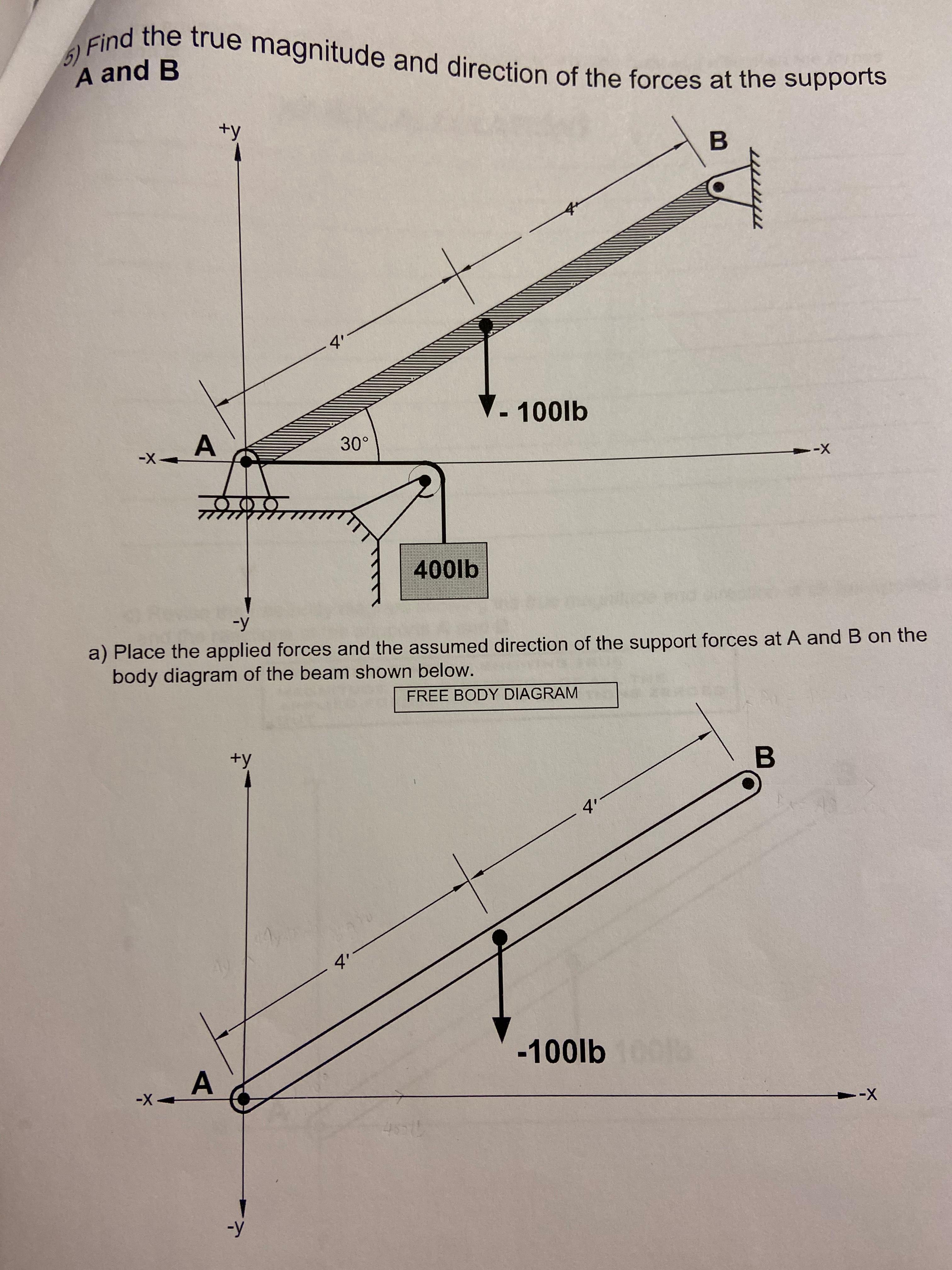 Solved Find the true magnitude and direction of the forces | Chegg.com