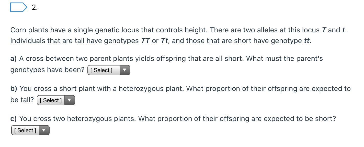Solved 2. Corn plants have a single genetic locus that | Chegg.com