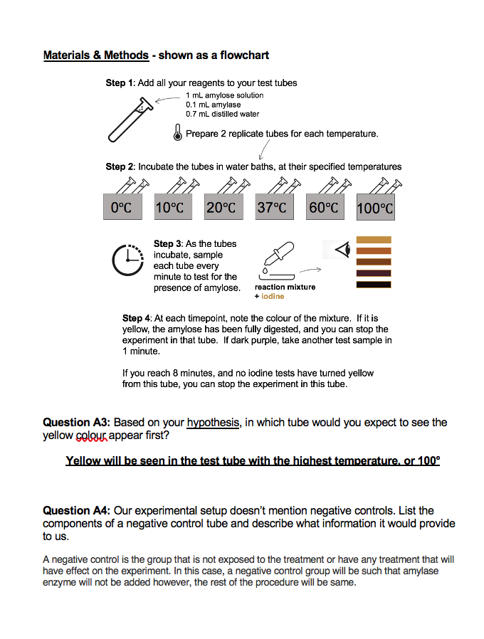 Materials & Methods - shown as a flowchart Step 1: | Chegg.com