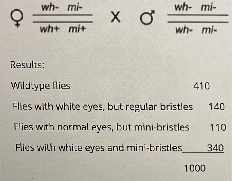 Solved You are studying a new fruit recessive fruit fly | Chegg.com
