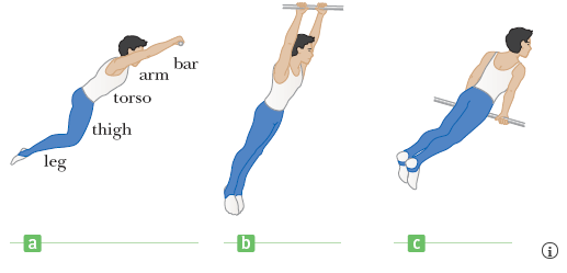 Solved 1. Many of the elements in horizontal-bar exercises | Chegg.com