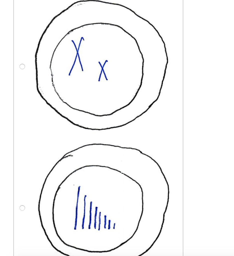 Solved Part A - Gamete Cell Select the cell diagram below | Chegg.com
