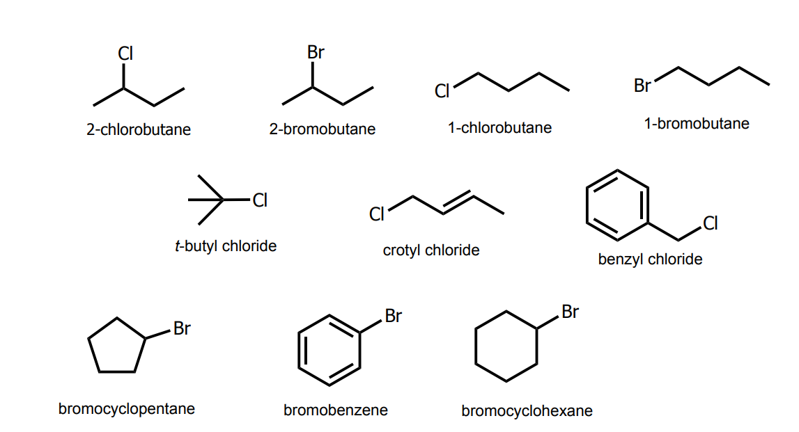 After an introduction and organized presentation of | Chegg.com