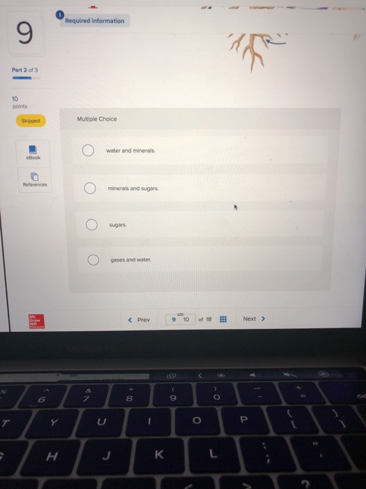 Solved Help Save & Exit Submit Xylem vs. phloem Classify | Chegg.com