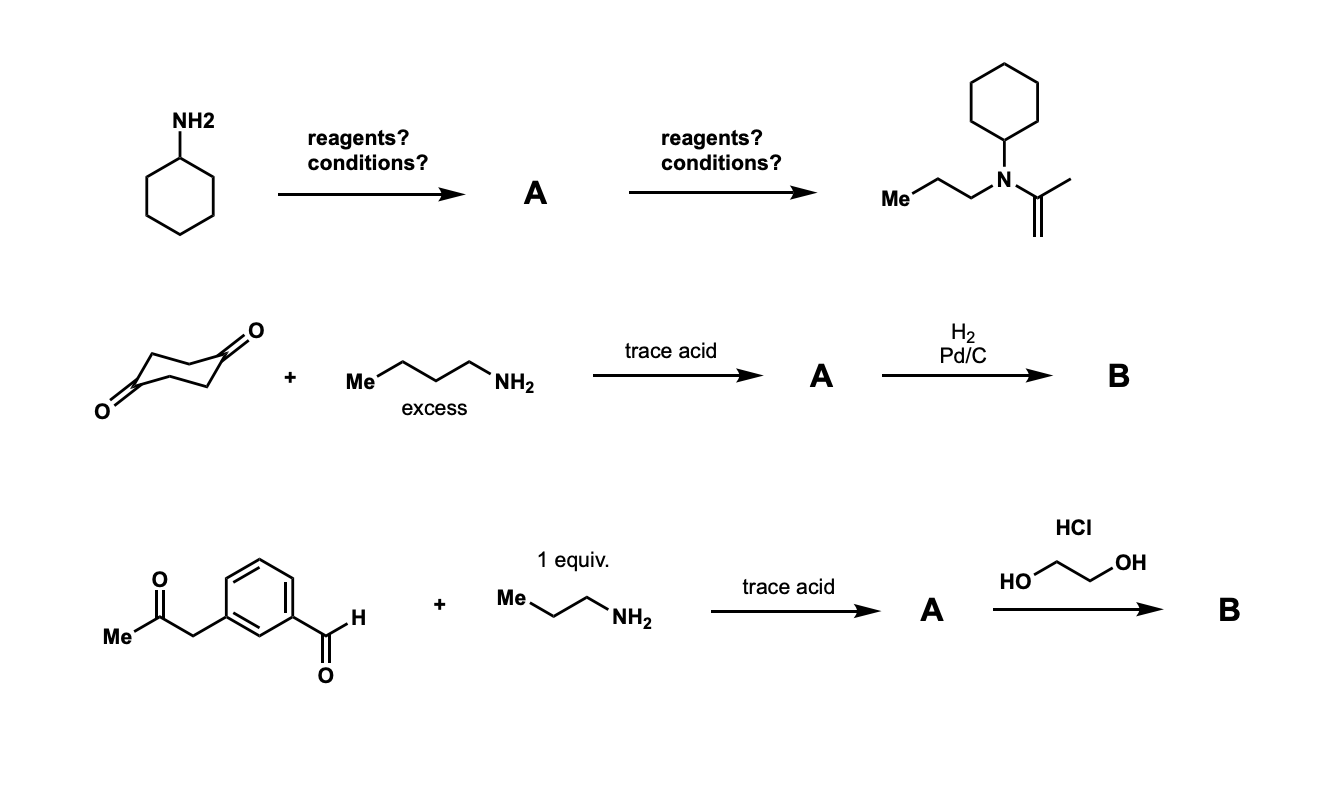 Solved NH2 reagents? conditions? reagents? conditions? q 옥 A | Chegg.com