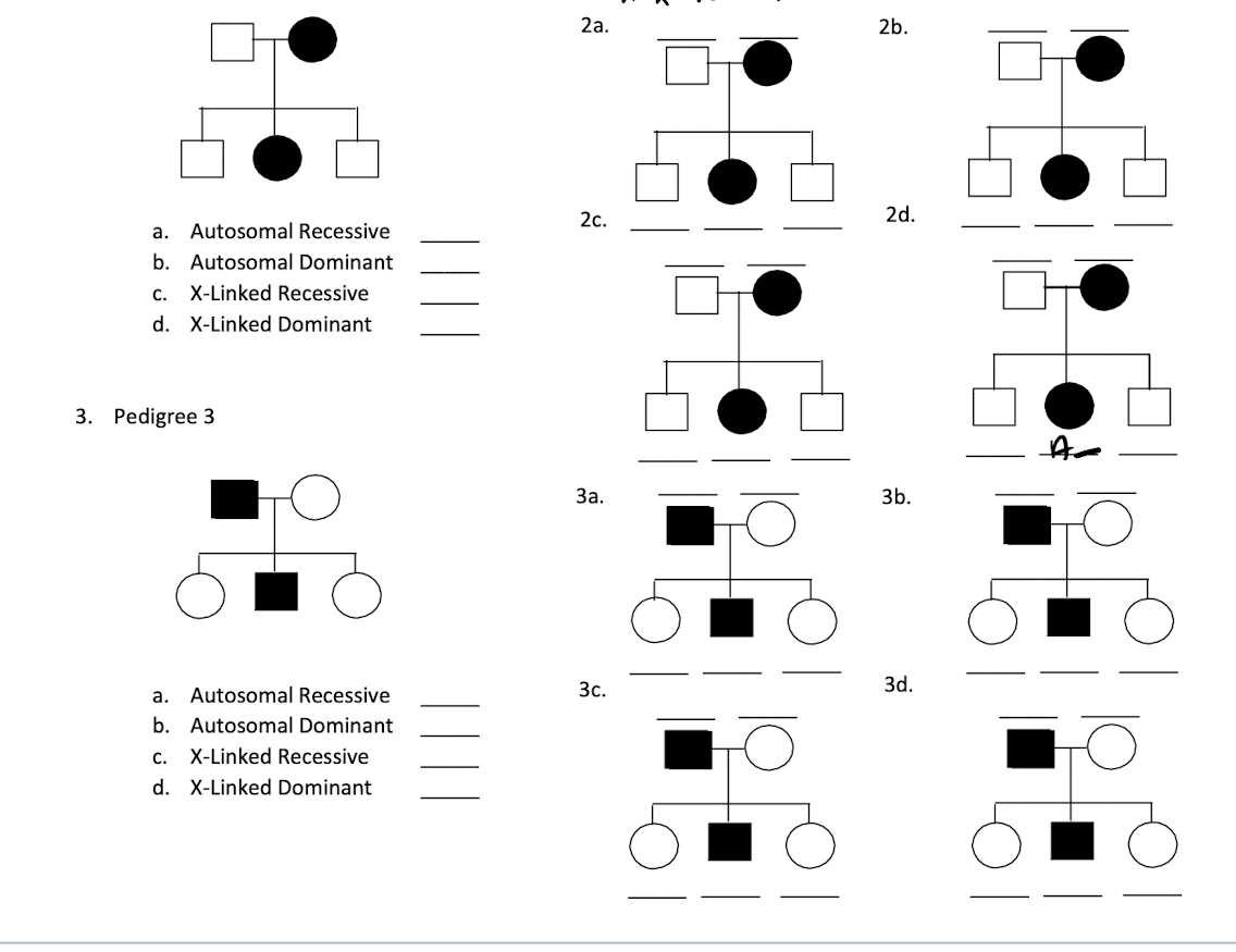 Solved Place a check mark to any possible modes of | Chegg.com