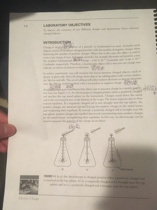 Solved i need a physics report for the electric charge lab | Chegg.com