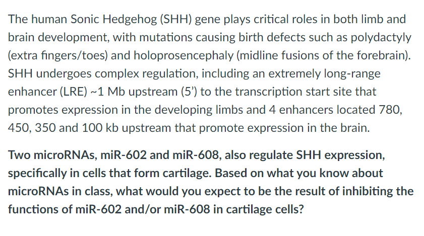 Solved The human Sonic Hedgehog (SHH) gene plays critical | Chegg.com
