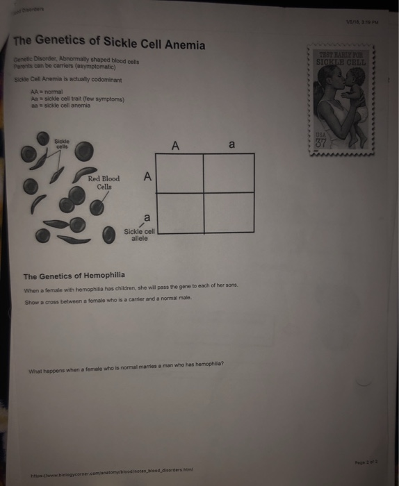Solved 1/51831D P The Genetics of Sickle Cell Anemia Genetic | Chegg.com