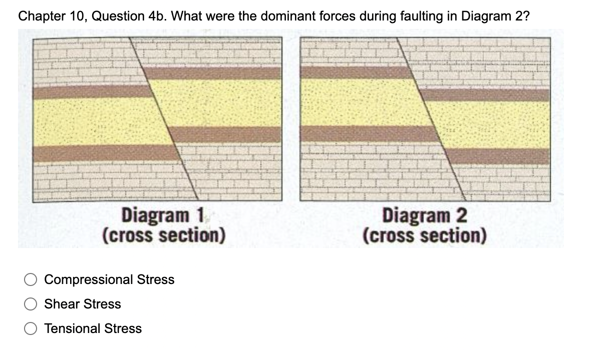 Solved Chapter 10, Question 4b. What were the dominant | Chegg.com