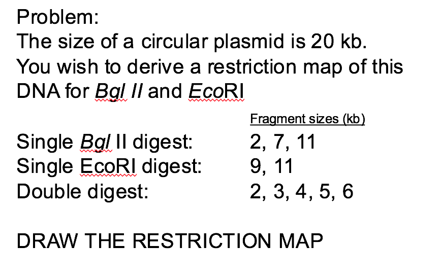 Solved Problem: The size of a circular plasmid is 20 kb. You | Chegg.com