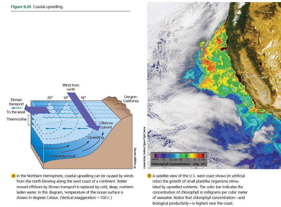 Solved Figure 9.20 Coastal upwelling. Wind from north 20° | Chegg.com