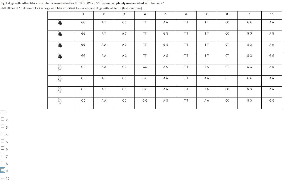 Solved Eight dogs with either black or white fur were tested | Chegg.com