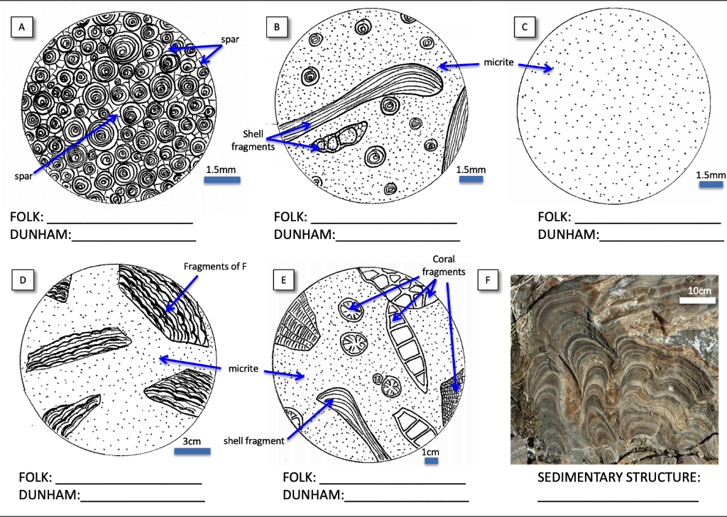 Solved Using the FOLK and DUNHAM classification schemes, | Chegg.com