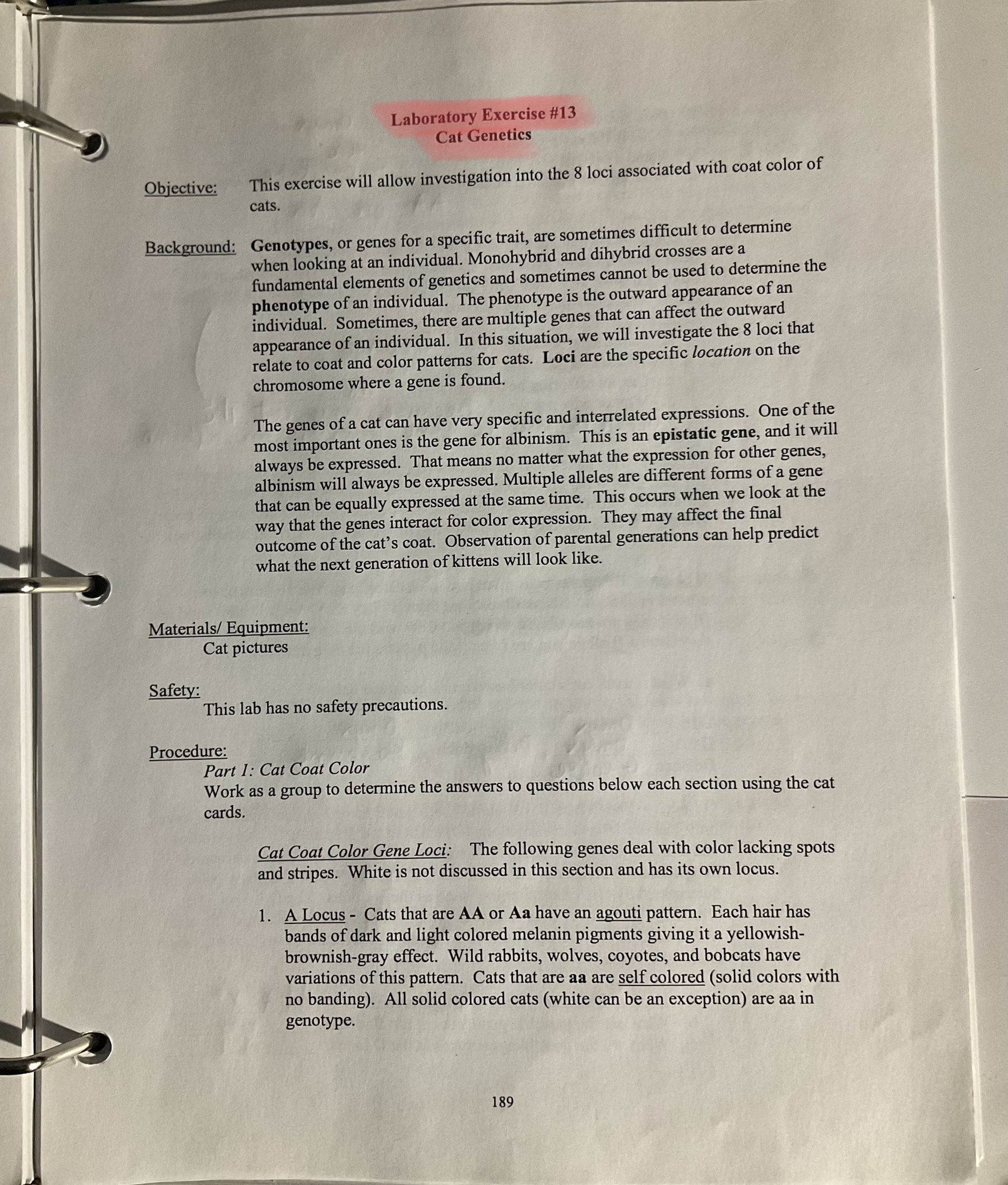Solved Laboratory Exercise \#13 Cat Genetics Objective: This | Chegg.com