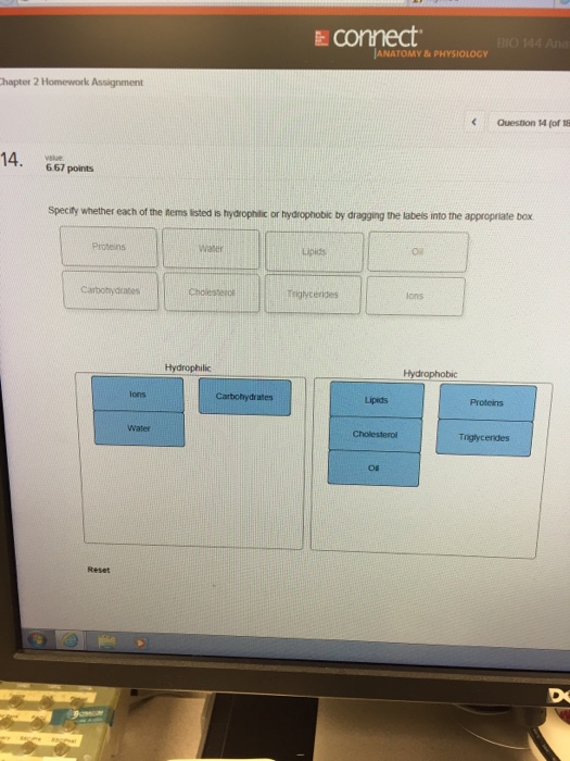 Solved Specify whether each of the items listed is | Chegg.com Solved Specify whether each of the items listed is | Chegg.com