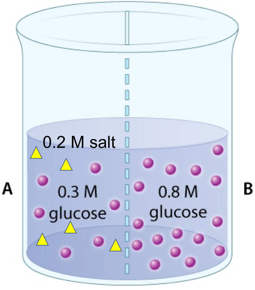 Solved A beaker contains two solutions. One is a solution of | Chegg.com
