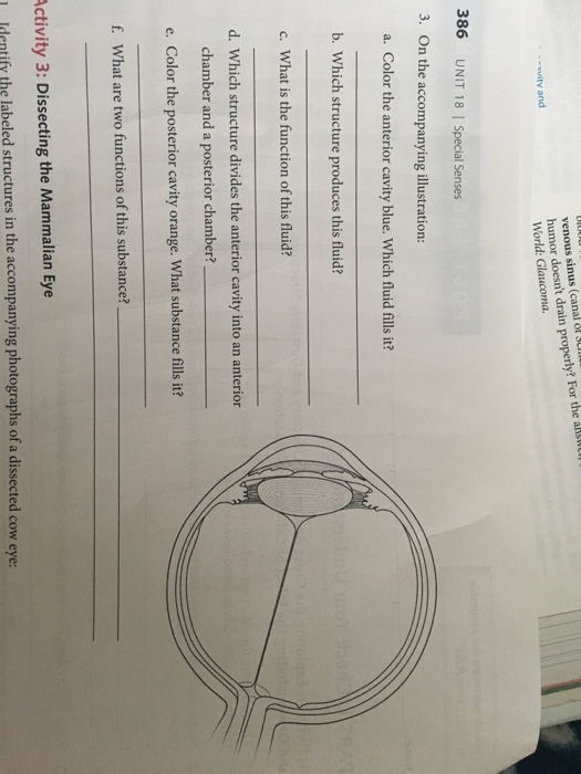 Solved On The Accompanying Illustration A Color The Chegg